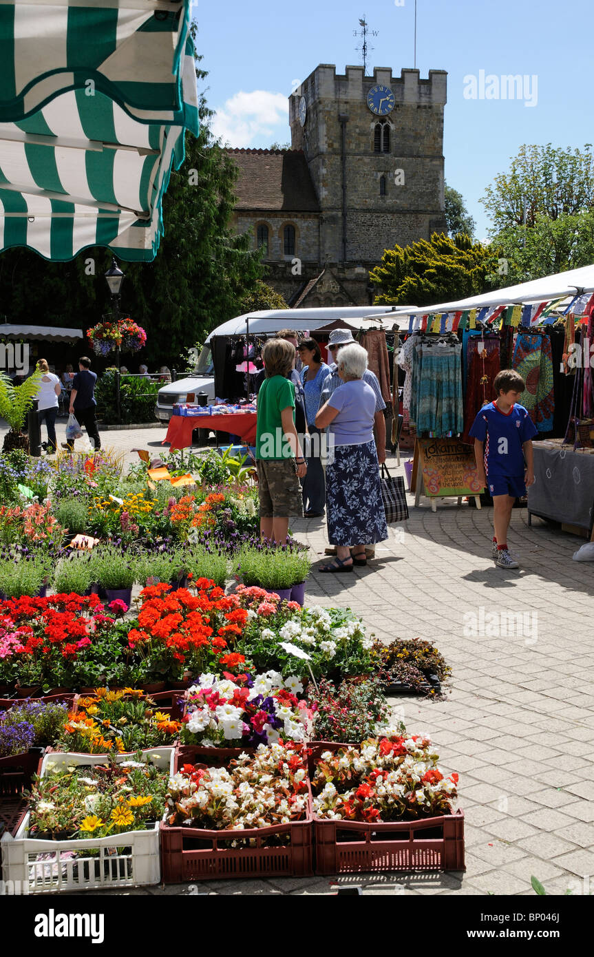 Market trader selling plants and flowers from a stall on The Square ...