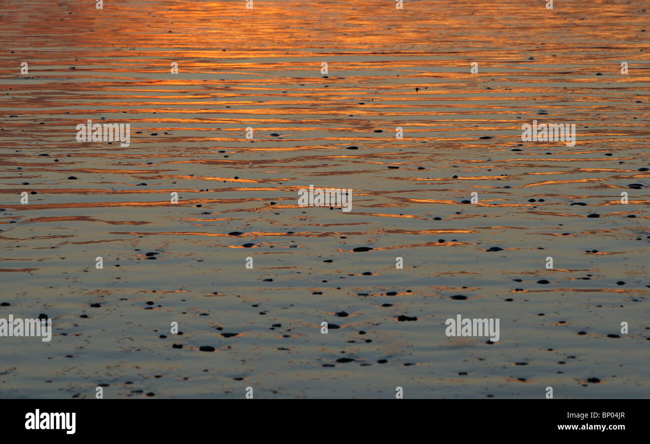 Beach scenes in New Zealand Stock Photo - Alamy