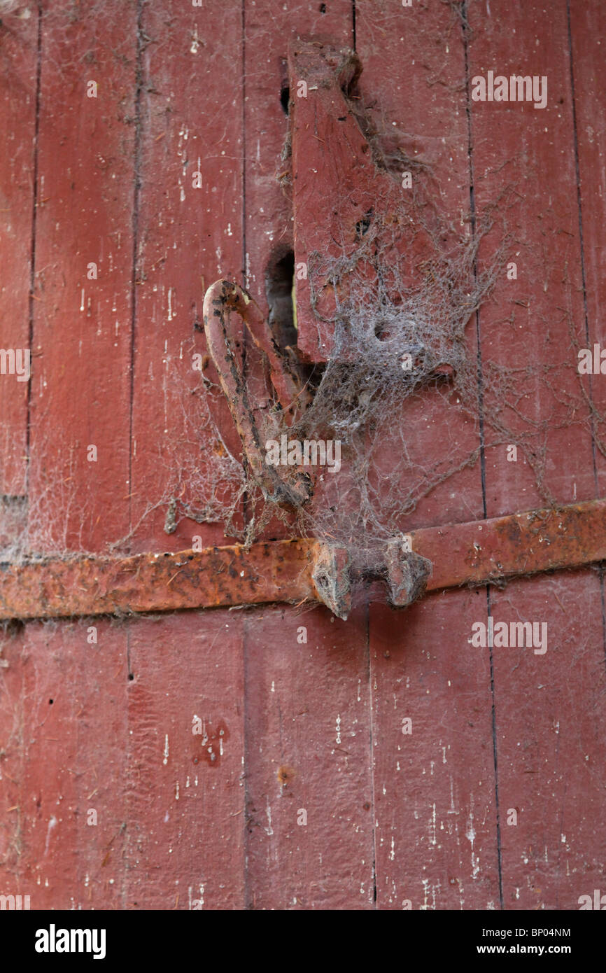 Old diggers hi-res stock photography and images - Alamy