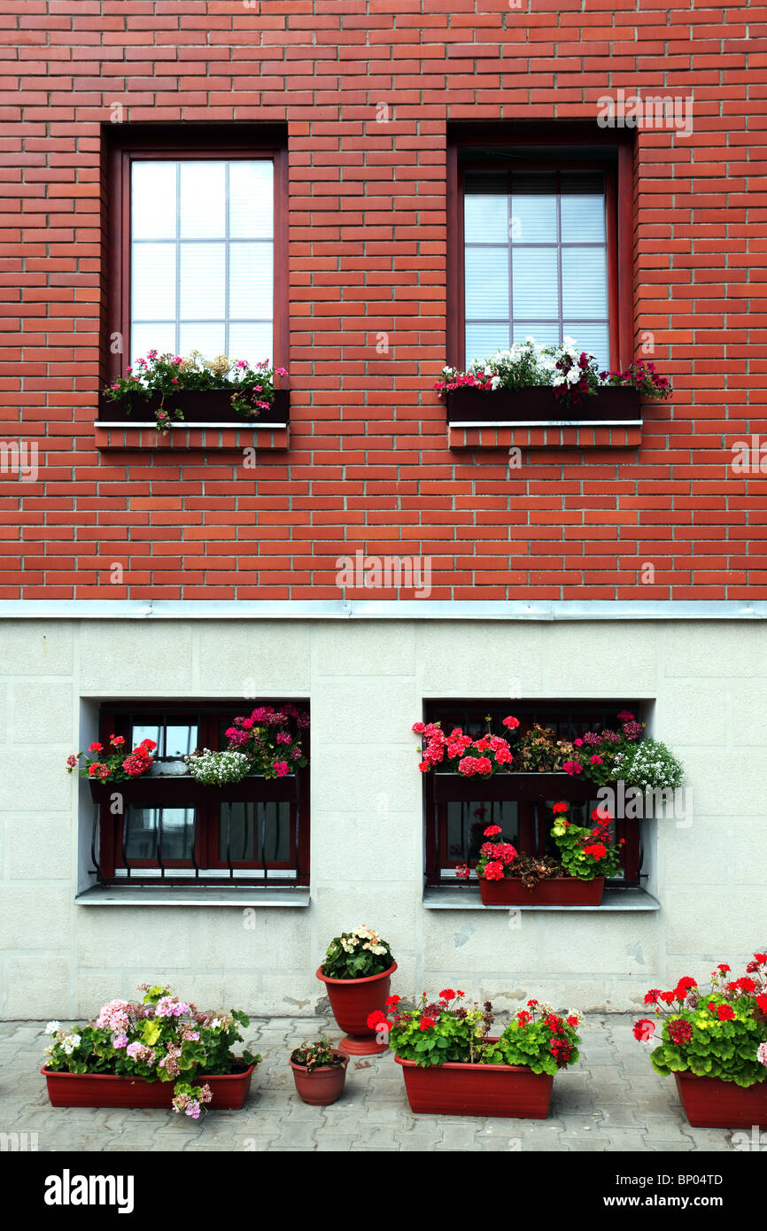Home wall and windows with flower pots Stock Photo - Alamy