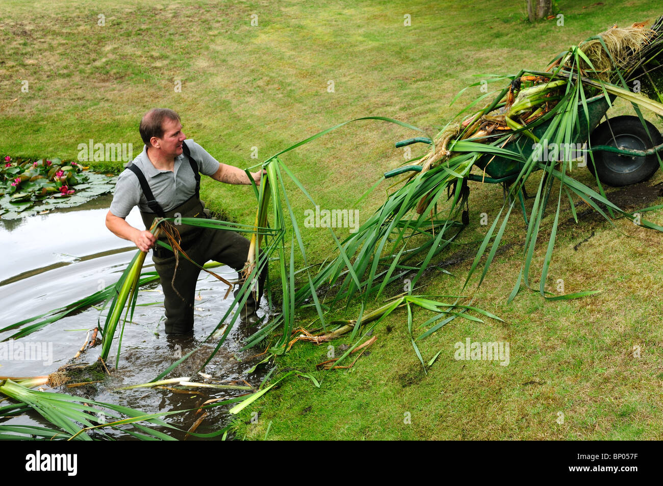 Clearing pond hi-res stock photography and images - Alamy