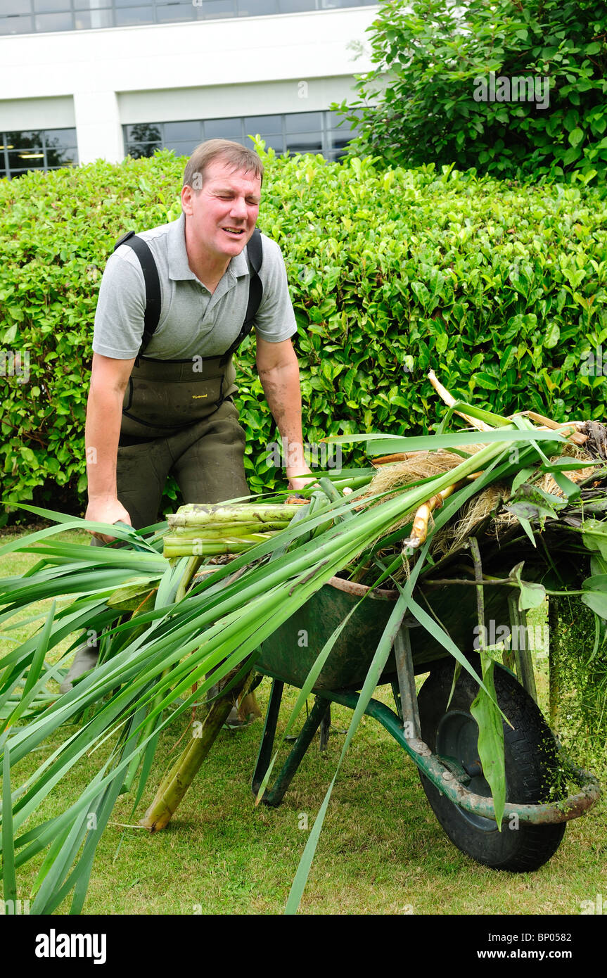 Middler aged Man Lifting Heavy Wheelbarrow.(straining Stock Photo - Alamy