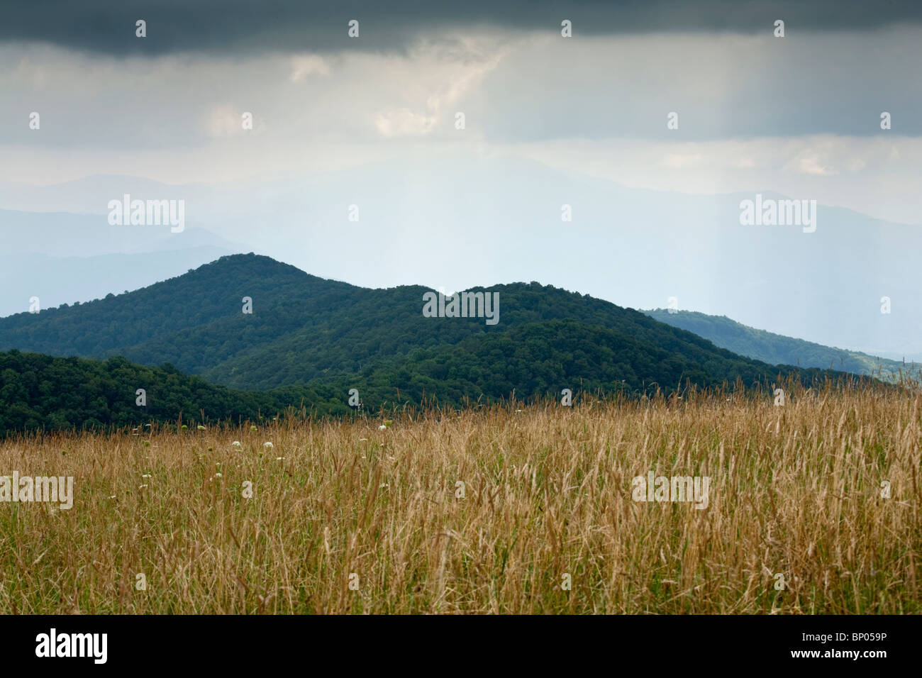 Max Patch, Appalachian Trail, Pisgah National Forest, NC Stock Photo ...