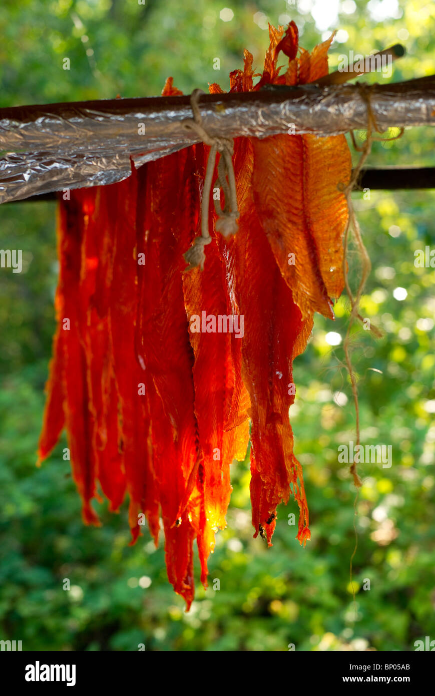Salmon drying hi-res stock photography and images - Alamy
