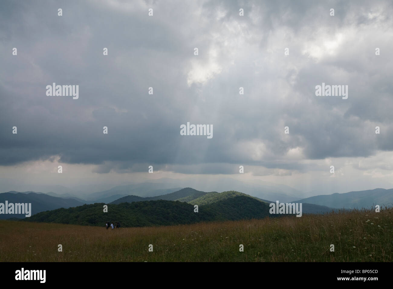 Max Patch, Appalachian Trail, Pisgah National Forest, NC Stock Photo ...