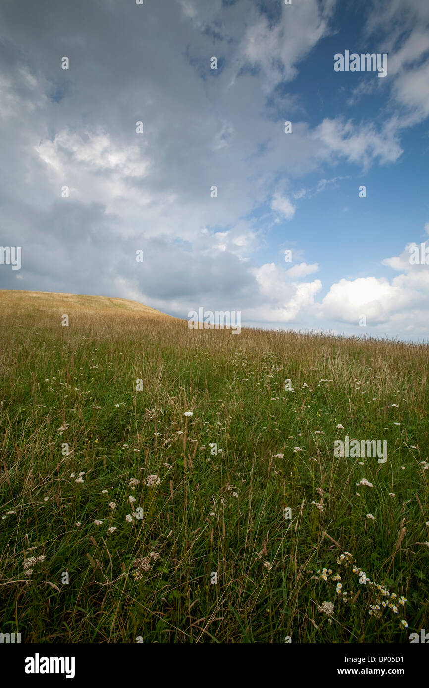 Max Patch, Appalachian Trail, Pisgah National Forest, NC Stock Photo ...
