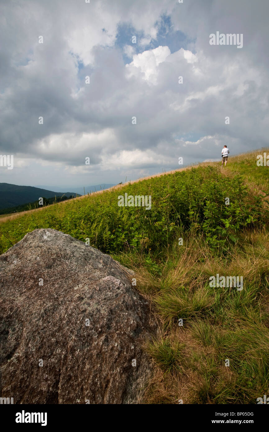 Max Patch, Appalachian Trail, Pisgah National Forest, NC Stock Photo ...