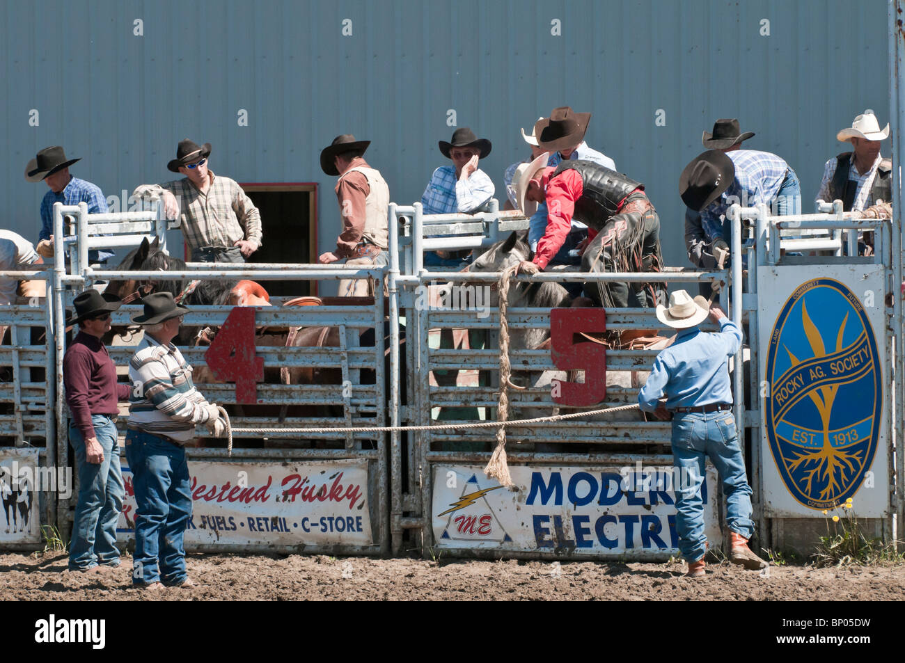 Cowboy preparing to leave the chute, saddle bronc riding, Rocky ...