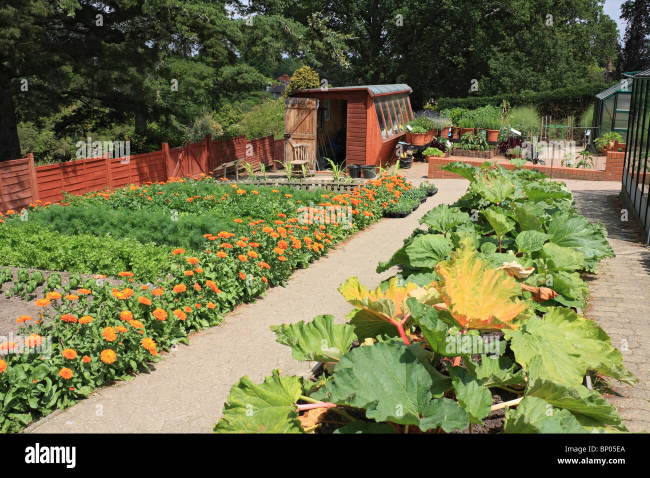 Growing veg and flowers hi-res stock photography and images - Alamy