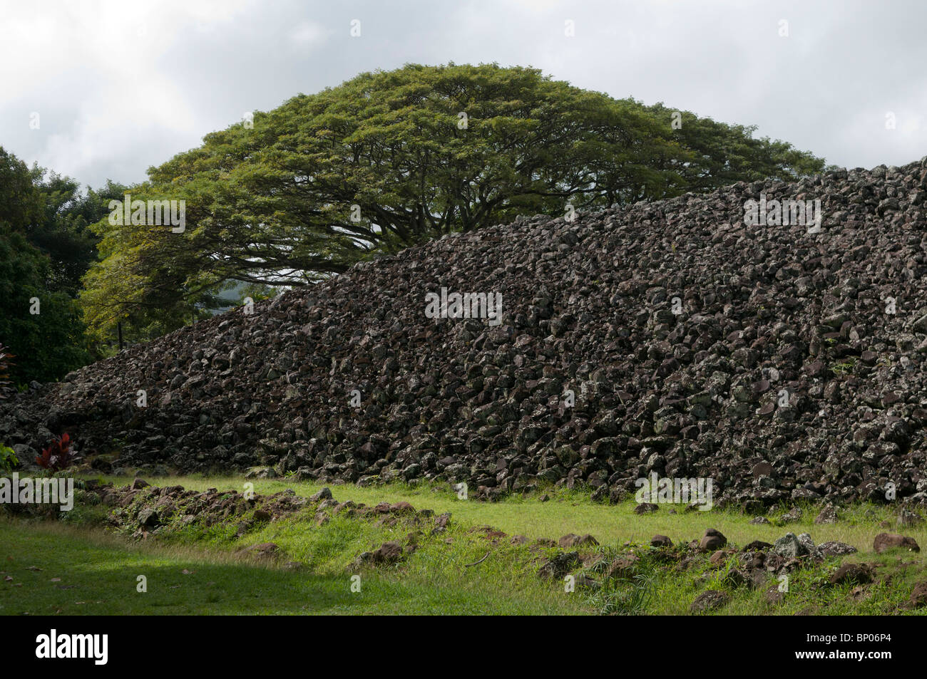 Hawaiian native hi-res stock photography and images - Alamy