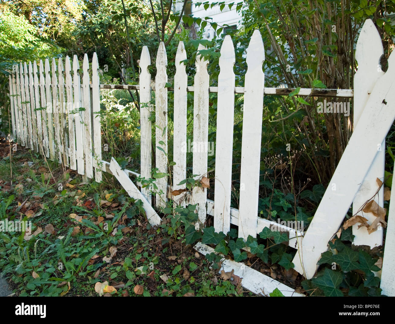 White Picket Fence Falling Apart Stock Photo - Alamy