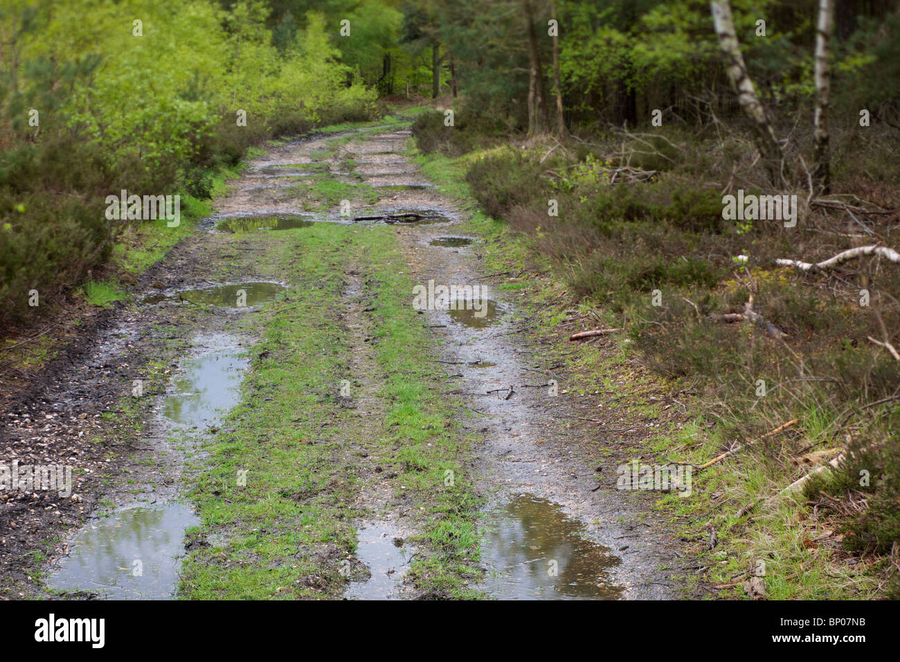 Burghfield hi-res stock photography and images - Alamy
