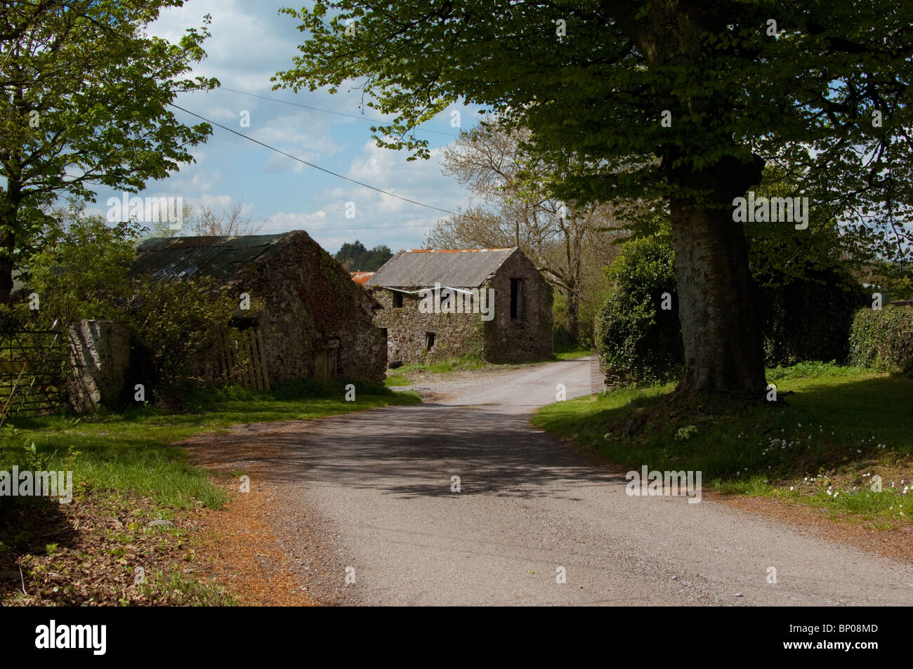 Irish farm buildings hi-res stock photography and images - Alamy