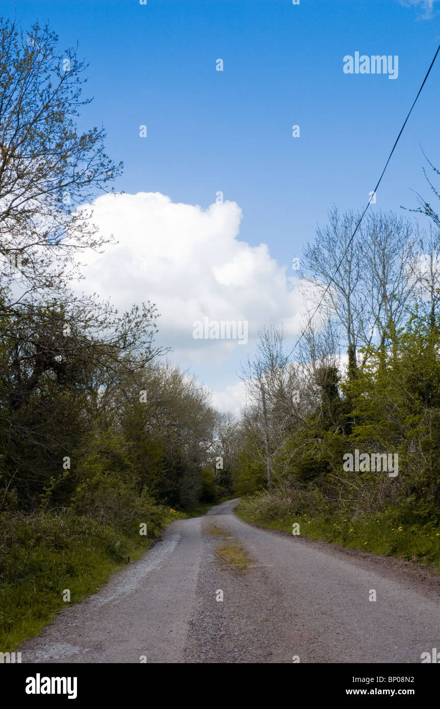 Irish country road hi-res stock photography and images - Alamy