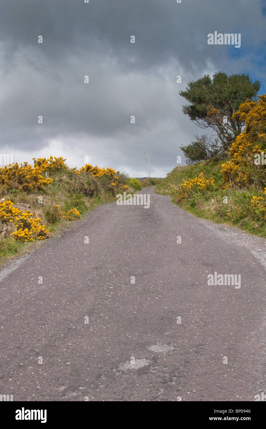 Irish road hi-res stock photography and images - Alamy