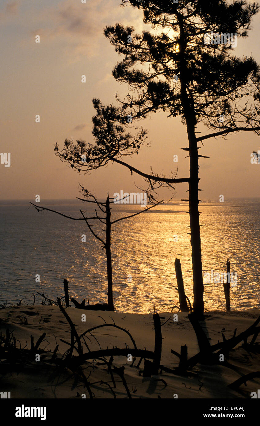 France, Aquitaine, Landes, lake Sanguinet at sunset Stock Photo - Alamy