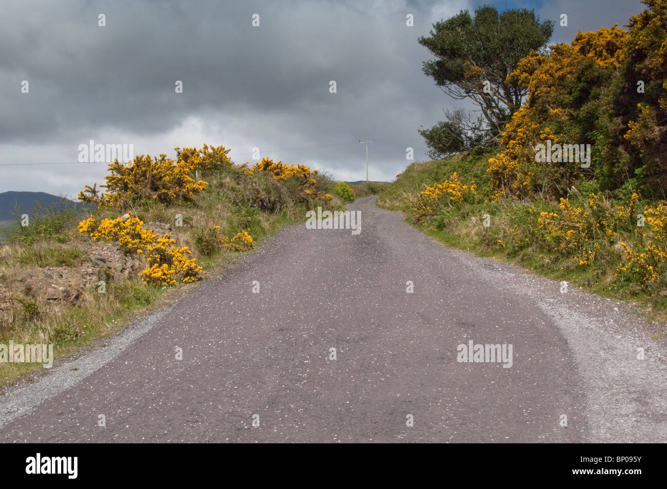 Irish road hi-res stock photography and images - Alamy