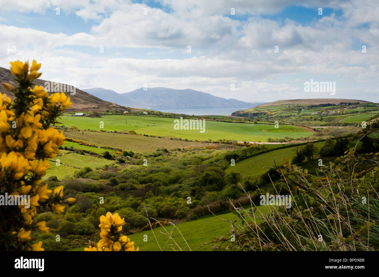 Dingle farm hi-res stock photography and images - Alamy