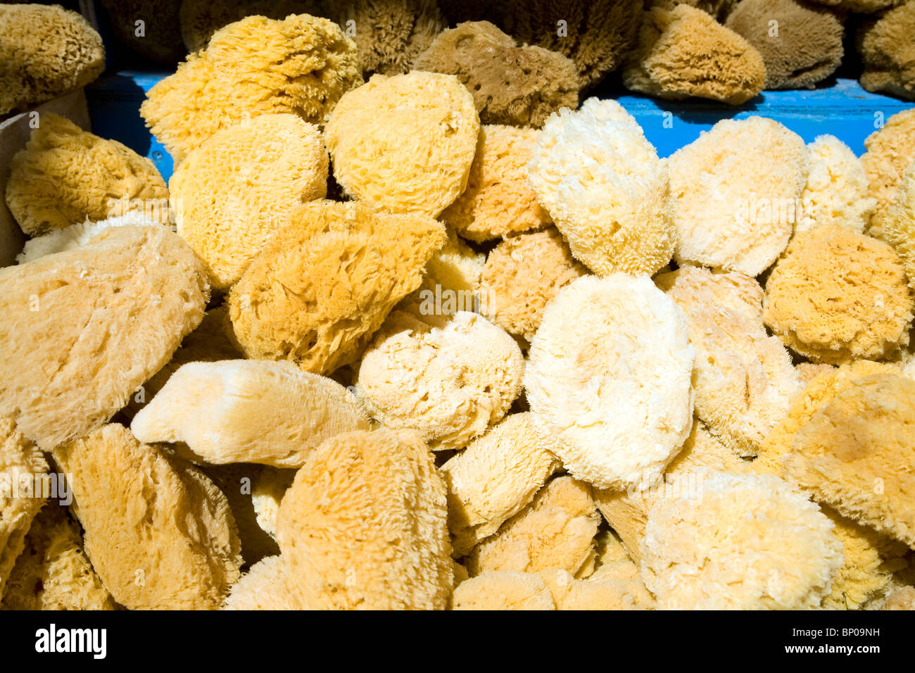 Natural sponges, Rhodes, Greece Stock Photo - Alamy