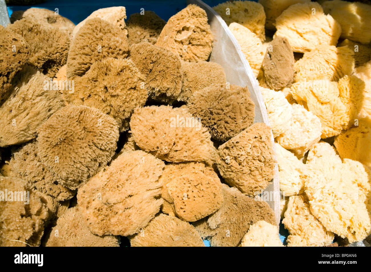 Natural sponges, Rhodes, Greece Stock Photo - Alamy
