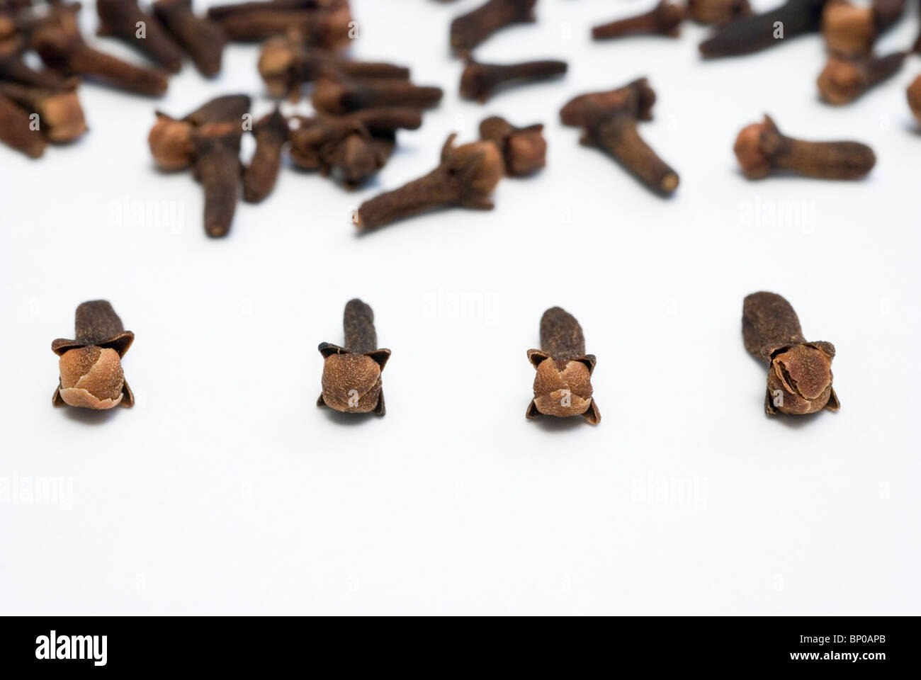 Cloves (Syzygium aromaticum Stock Photo - Alamy