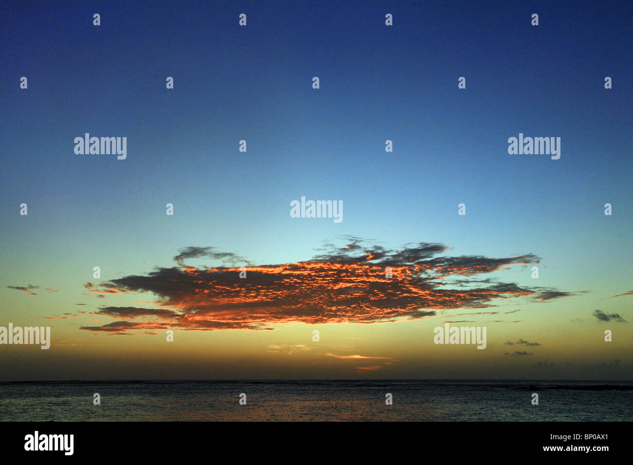 Dusky colored hi-res stock photography and images - Alamy