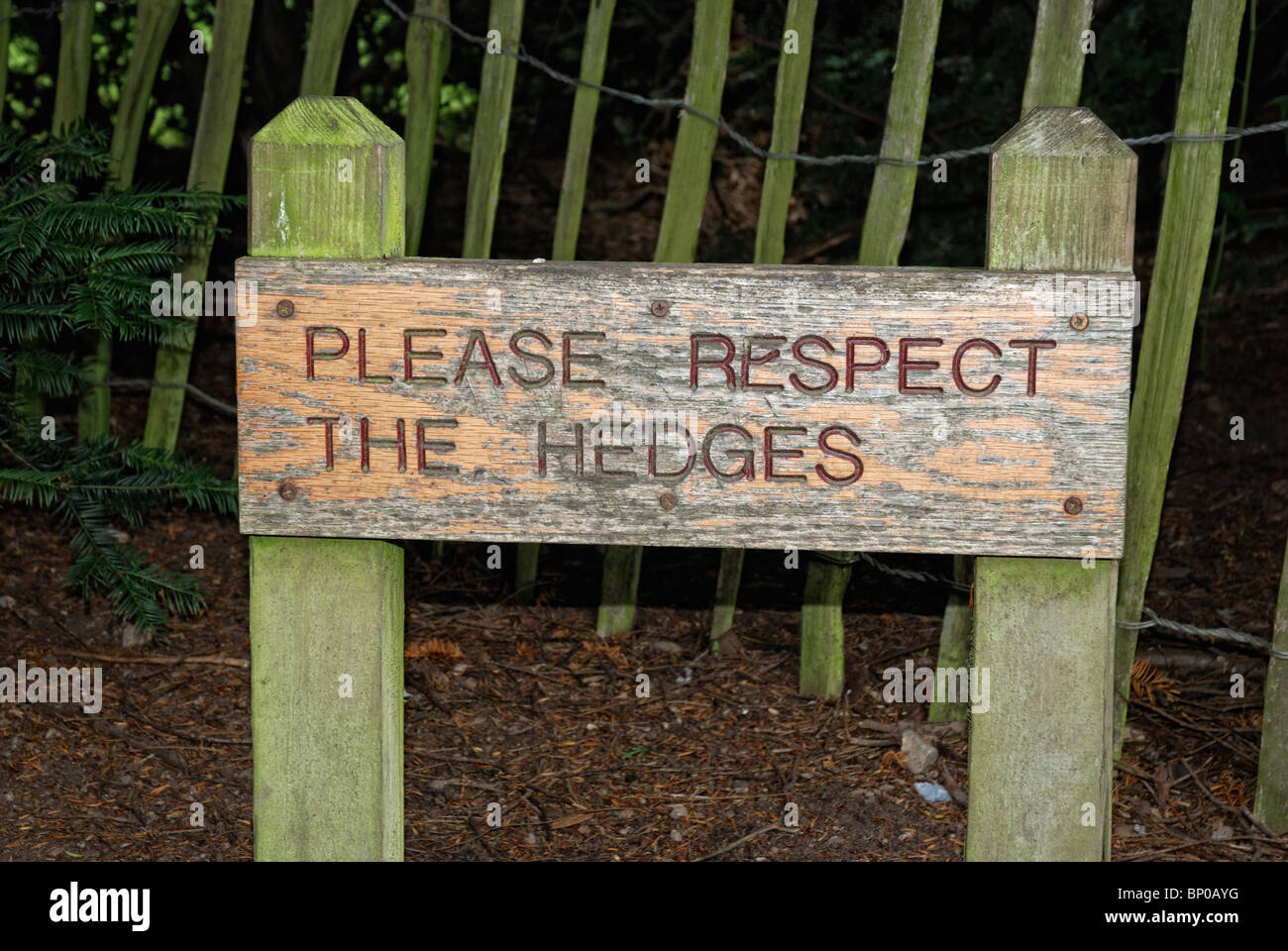 Please respect hi-res stock photography and images - Alamy