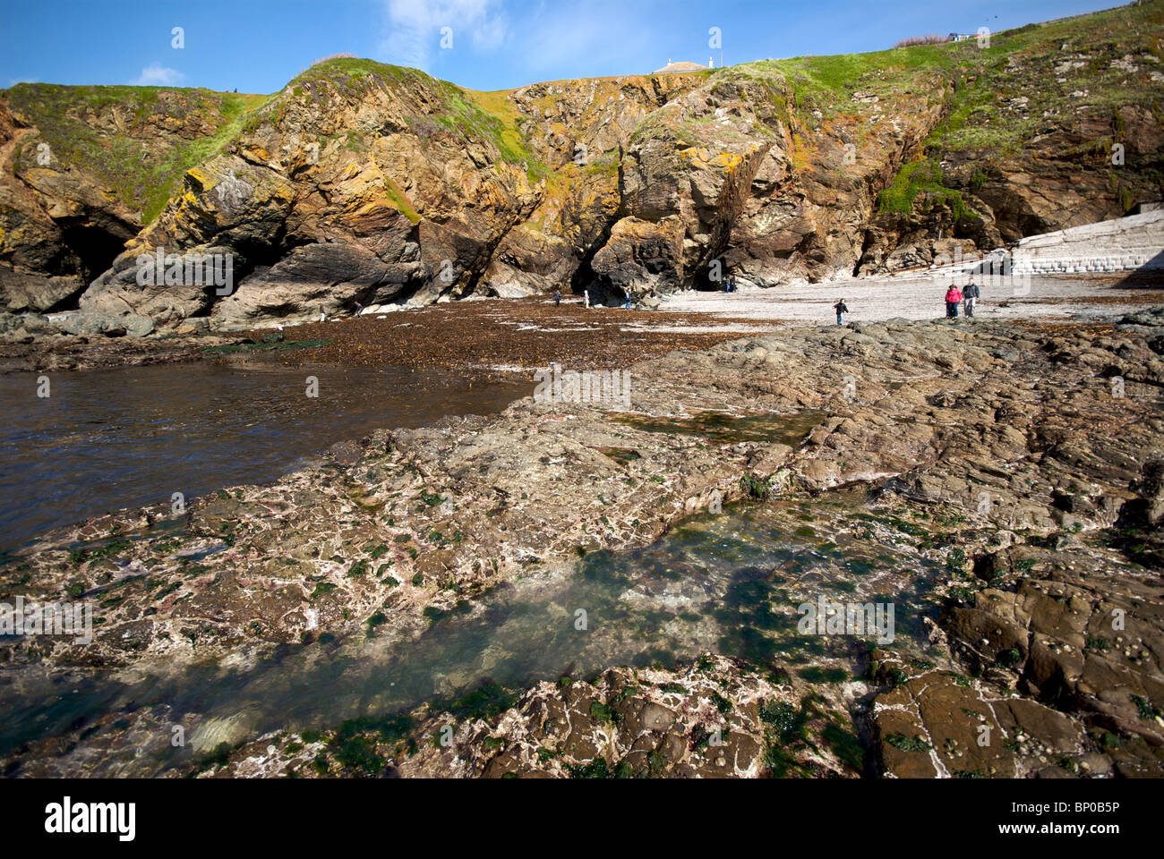 Lizard Point Cornwall UK Beach Stock Photo - Alamy