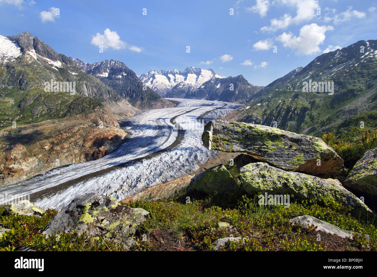 The great Aletsch glacier Stock Photo - Alamy
