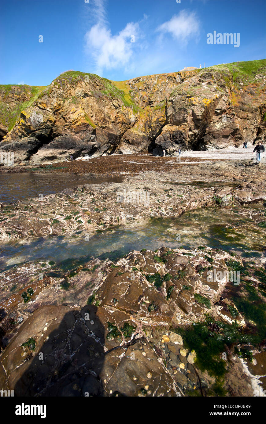 Lizard Point Cornwall UK Beach Stock Photo - Alamy