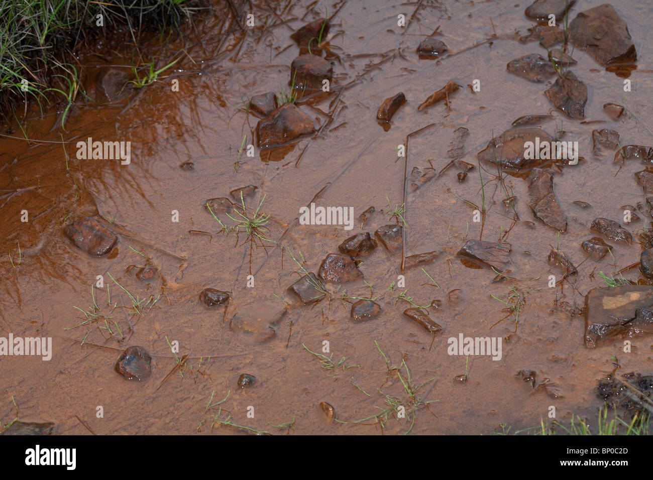 Lonsvik hi-res stock photography and images - Alamy
