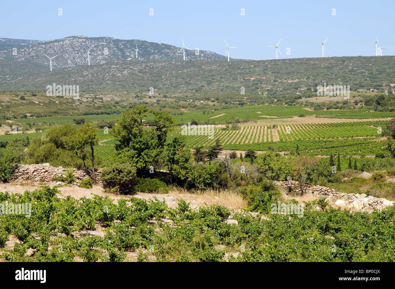 Corbieres region hi-res stock photography and images - Alamy