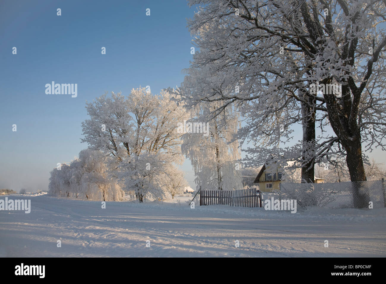 Snowy Winter Landscape, Estonia Stock Photo - Alamy