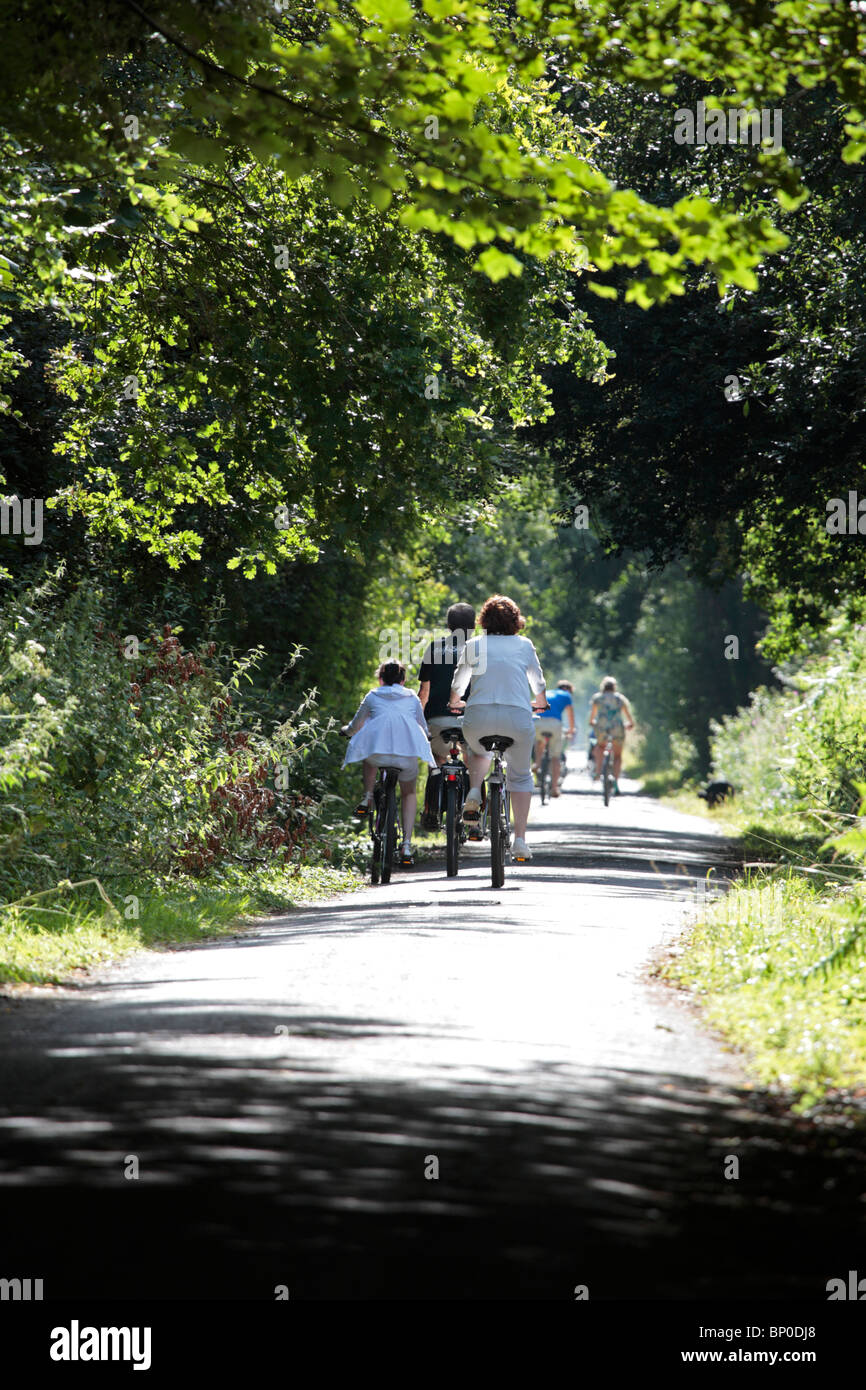 Devon’s tarka trail cycling hi-res stock photography and images - Alamy