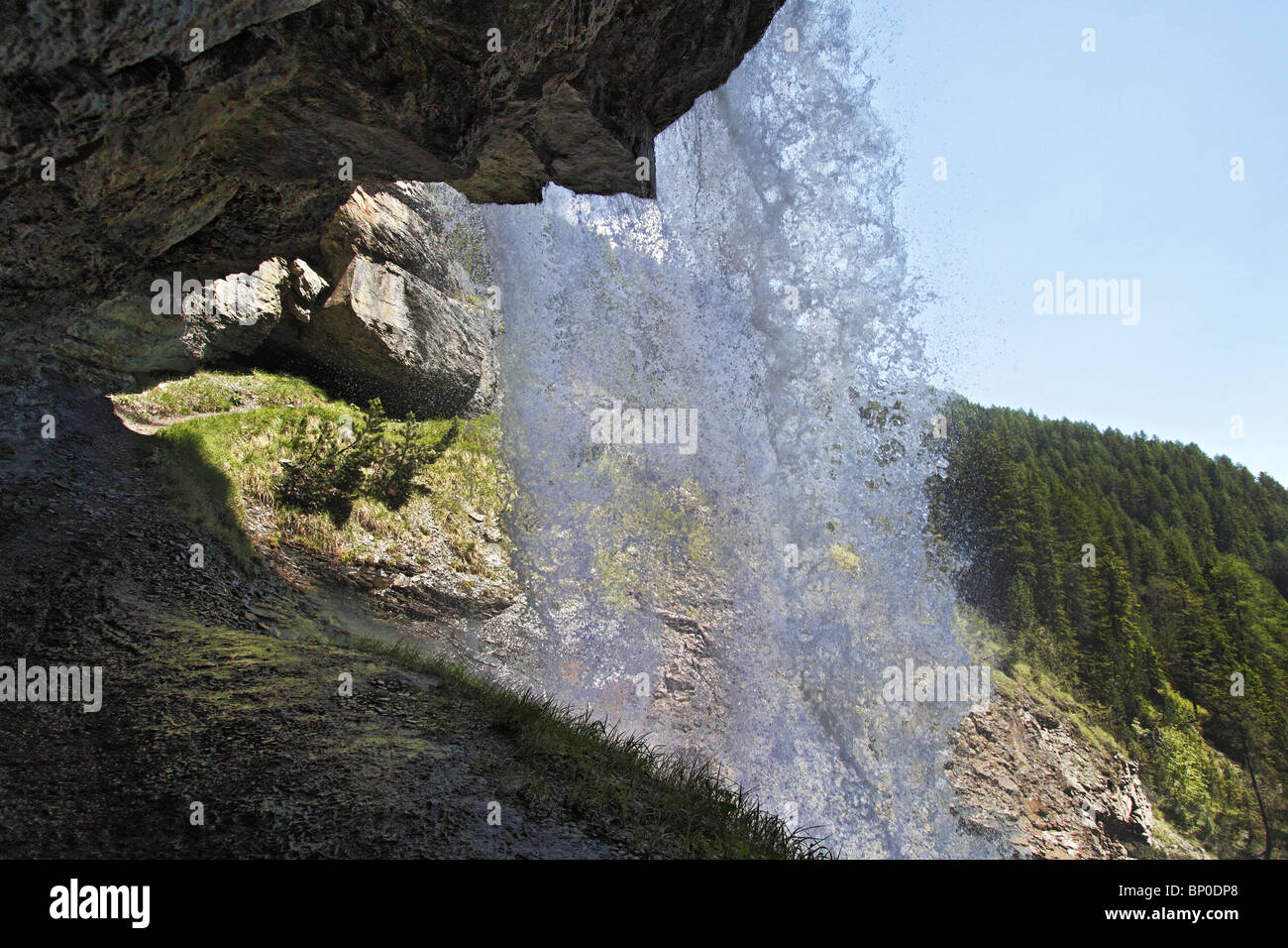 Waterfall behind trees hi-res stock photography and images - Alamy