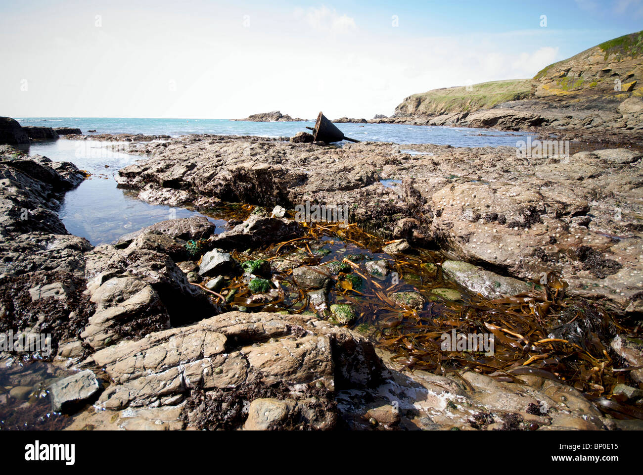 Lizard Point Cornwall UK Beach Stock Photo - Alamy