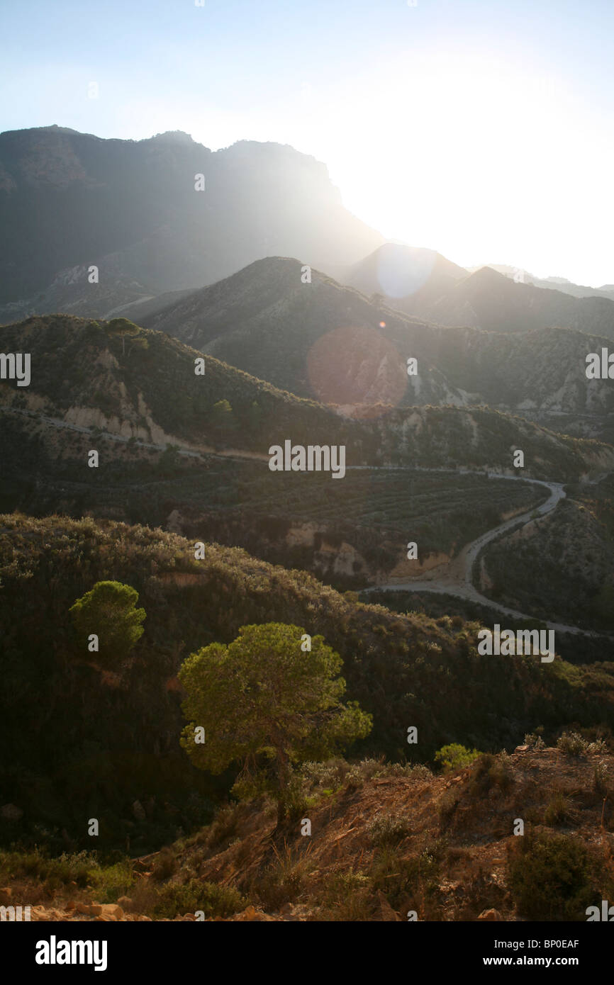 Spanish mountains near Murcia, Spain, tree in foreground, lens flare ...