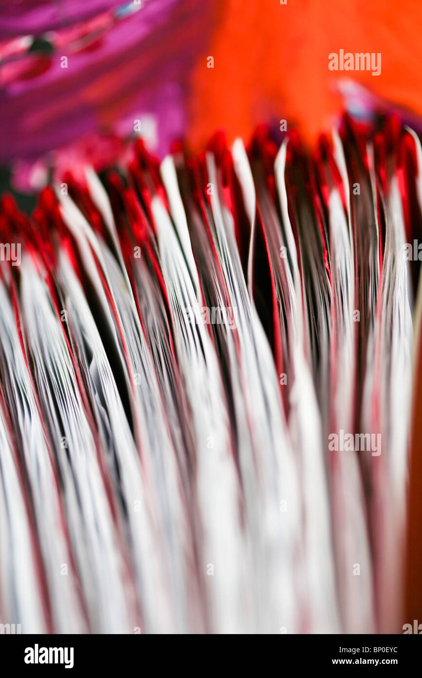 Close-up of school notebooks Stock Photo - Alamy