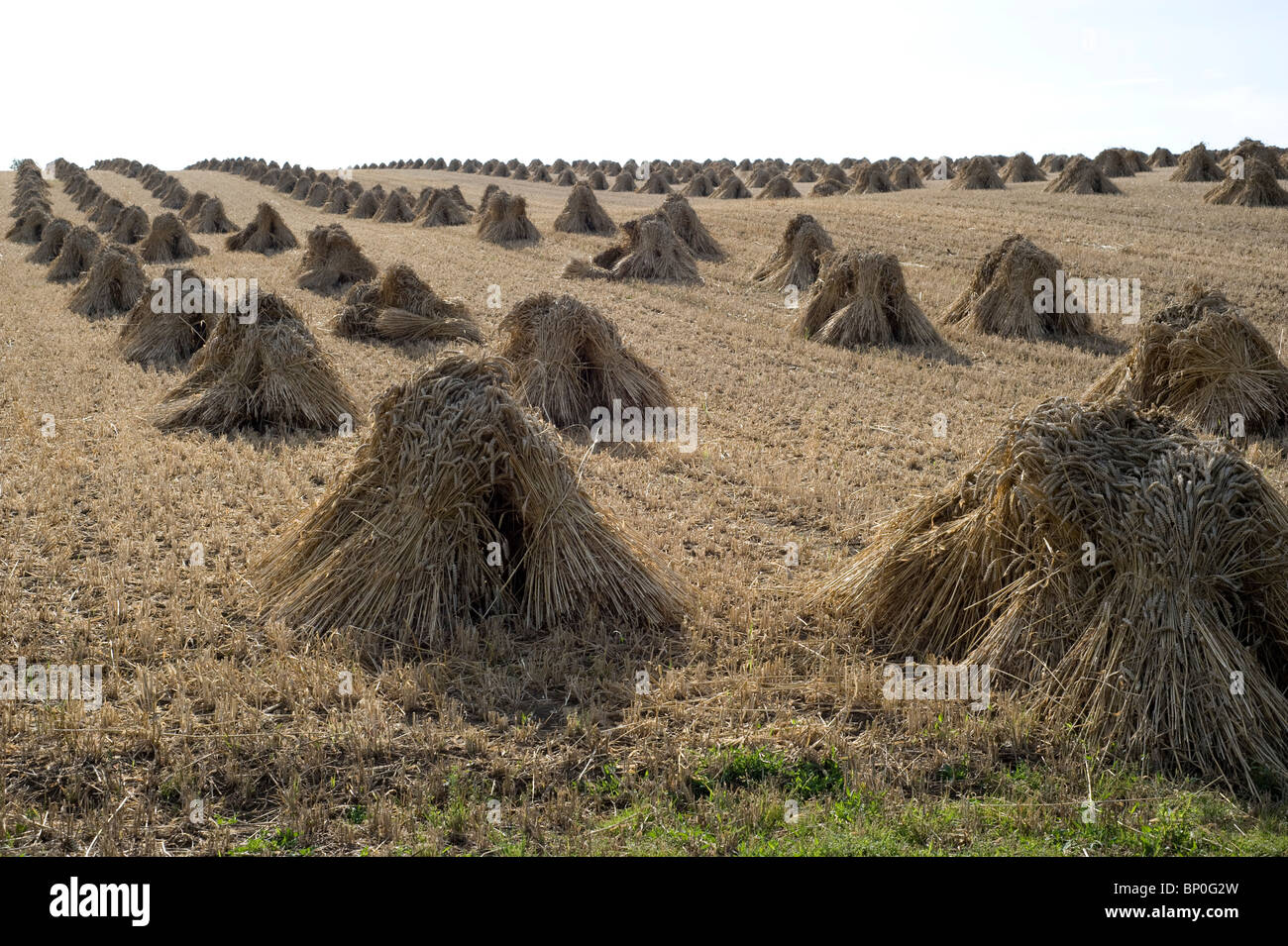 Straw thatch hi-res stock photography and images - Alamy