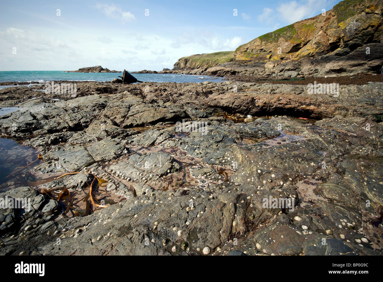 Lizard Point Cornwall UK Beach Stock Photo - Alamy