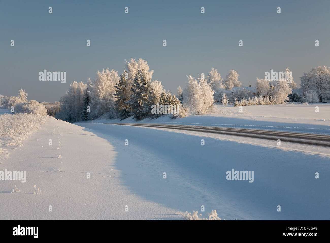 Snowy Winter Landscape, Estonia Stock Photo - Alamy