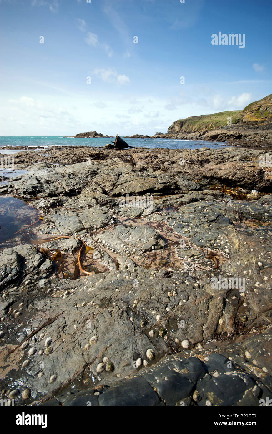 Lizard Point Cornwall UK Beach Stock Photo - Alamy