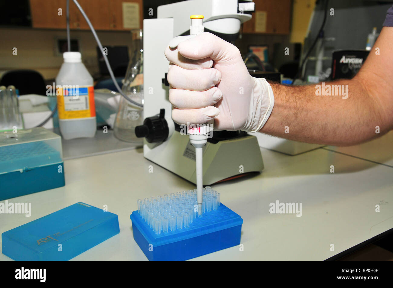 Research Laboratory Gloved hand uses a pipette Stock Photo - Alamy