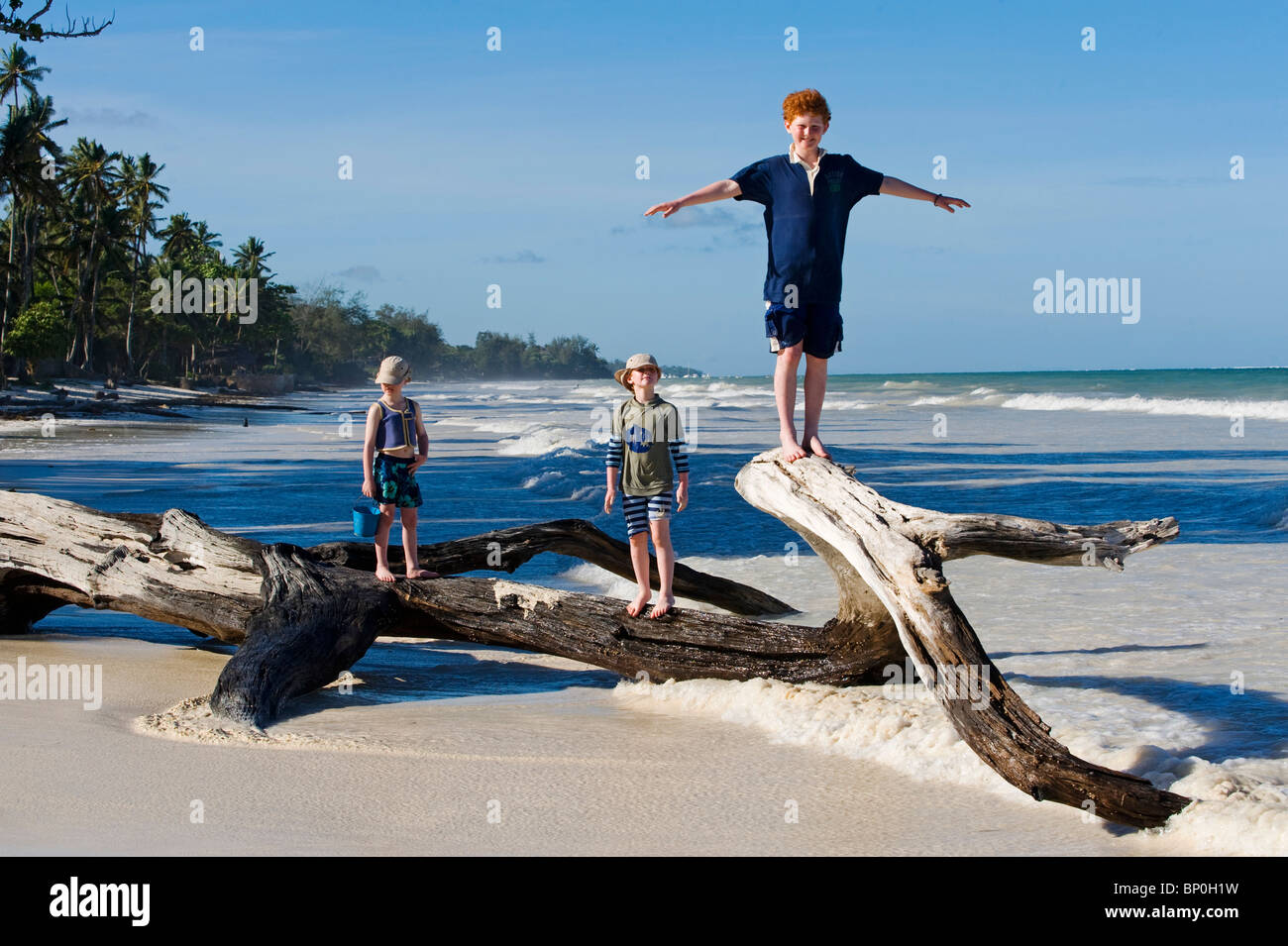 Kenya, Coast, Diani Beach. Three boys play on driftwood on Galu Beach ...