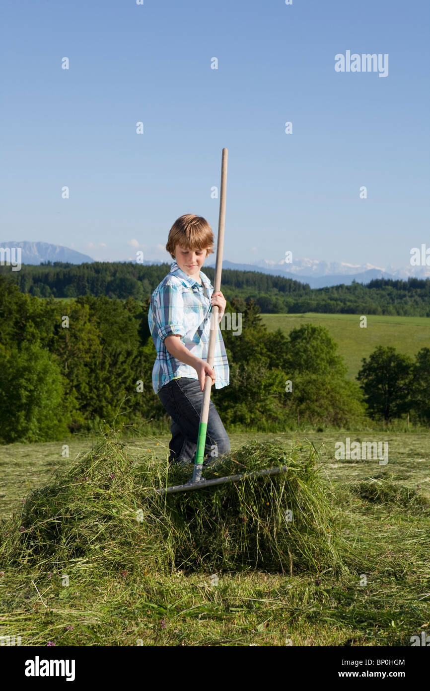 Rake The Lawn High Resolution Stock Photography and Images - Alamy