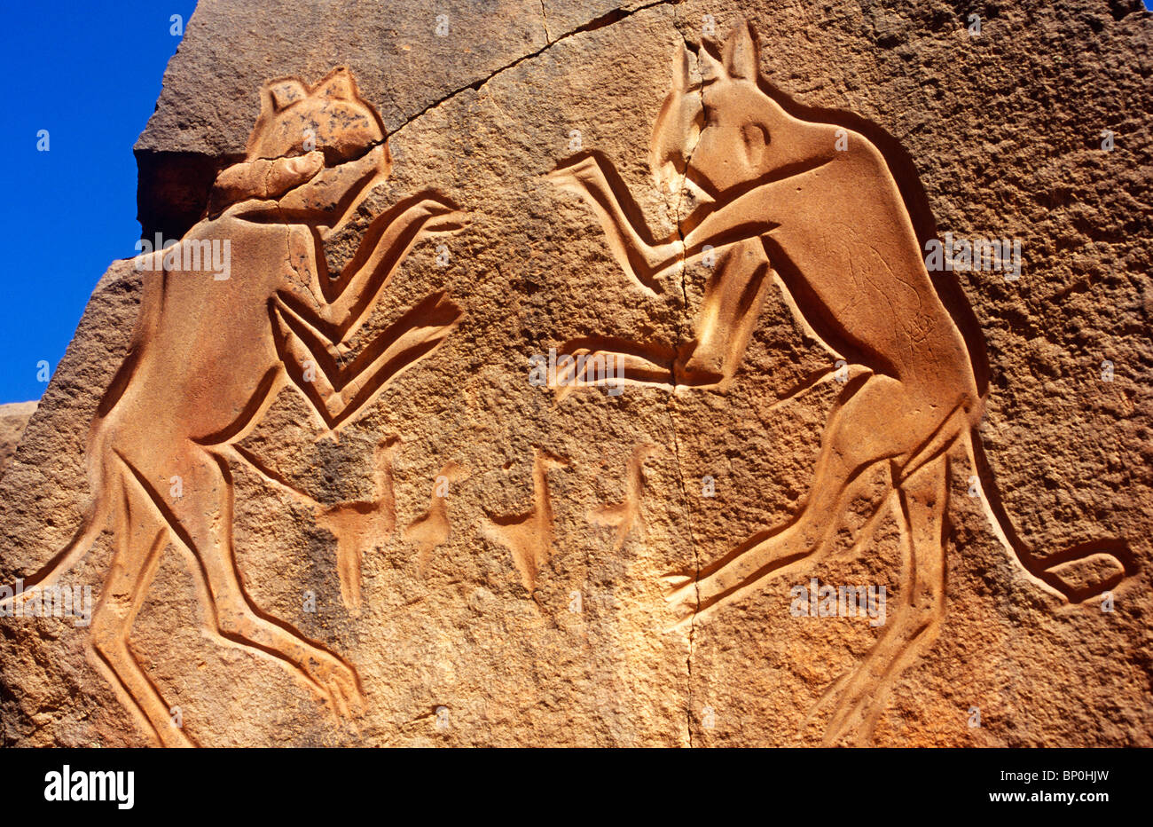 Libya, Fezzan, Messak Settafet. A petroglyph of felines, 'dancing cats ...