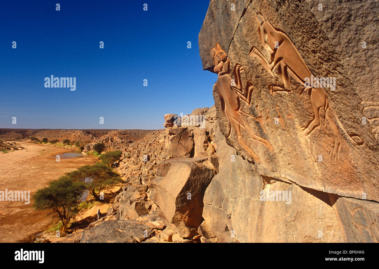 Libya, Fezzan, Messak Settafet. A petroglyph of felines, 'dancing cats ...