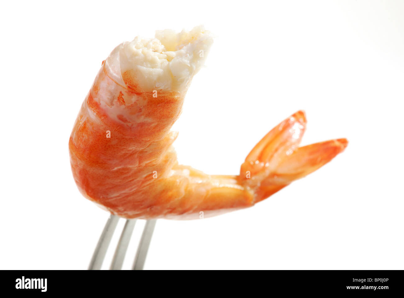 Prawn with fork hi-res stock photography and images - Alamy