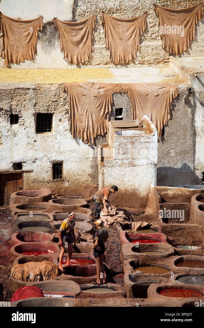 The tanneries in Fes, Morocco Stock Photo - Alamy