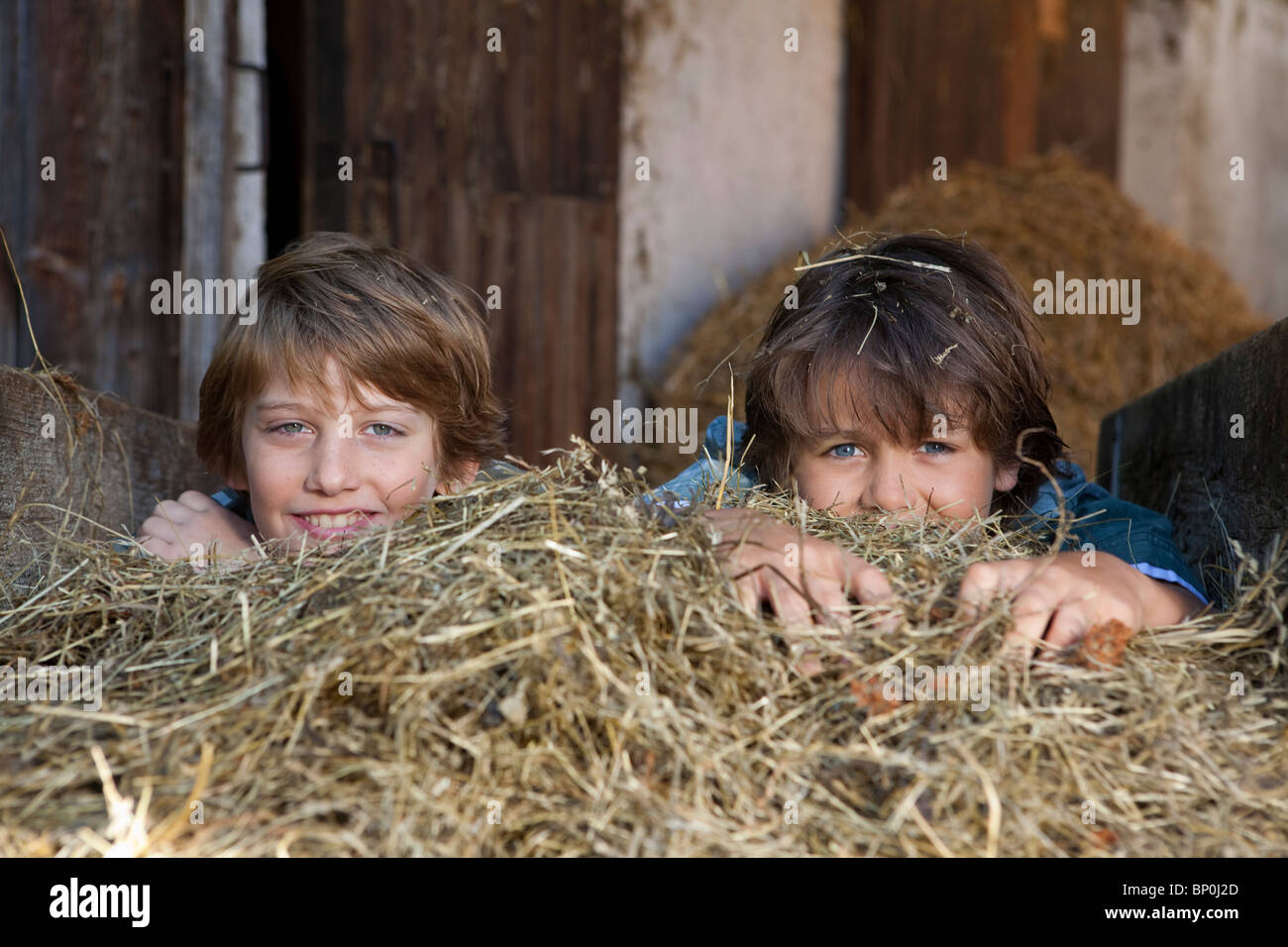 Two boys hiding in hay, happy Stock Photo - Alamy